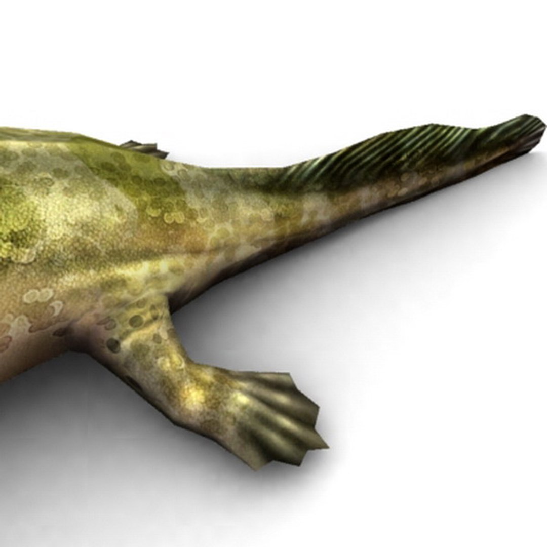 Ichthyostega Animation 3d Model