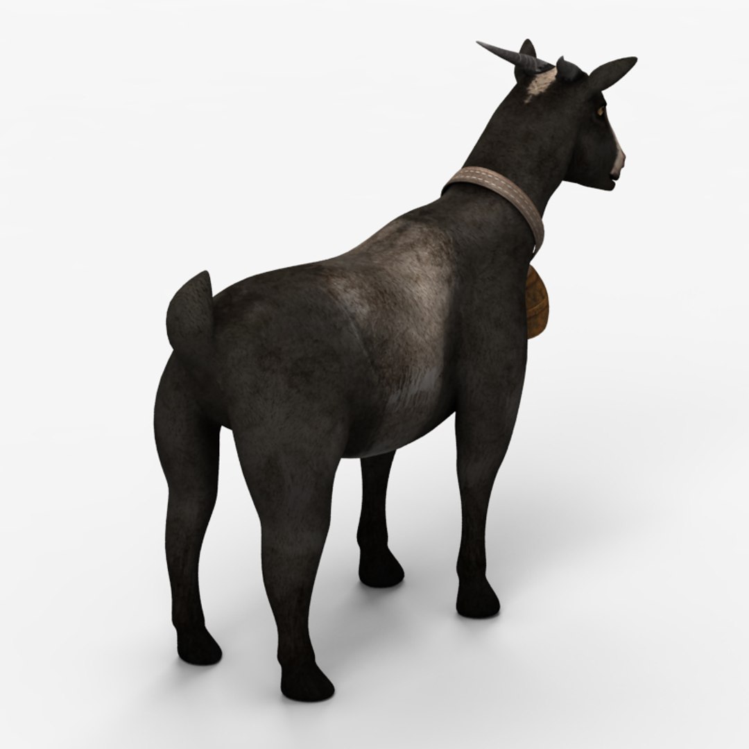 3d goat