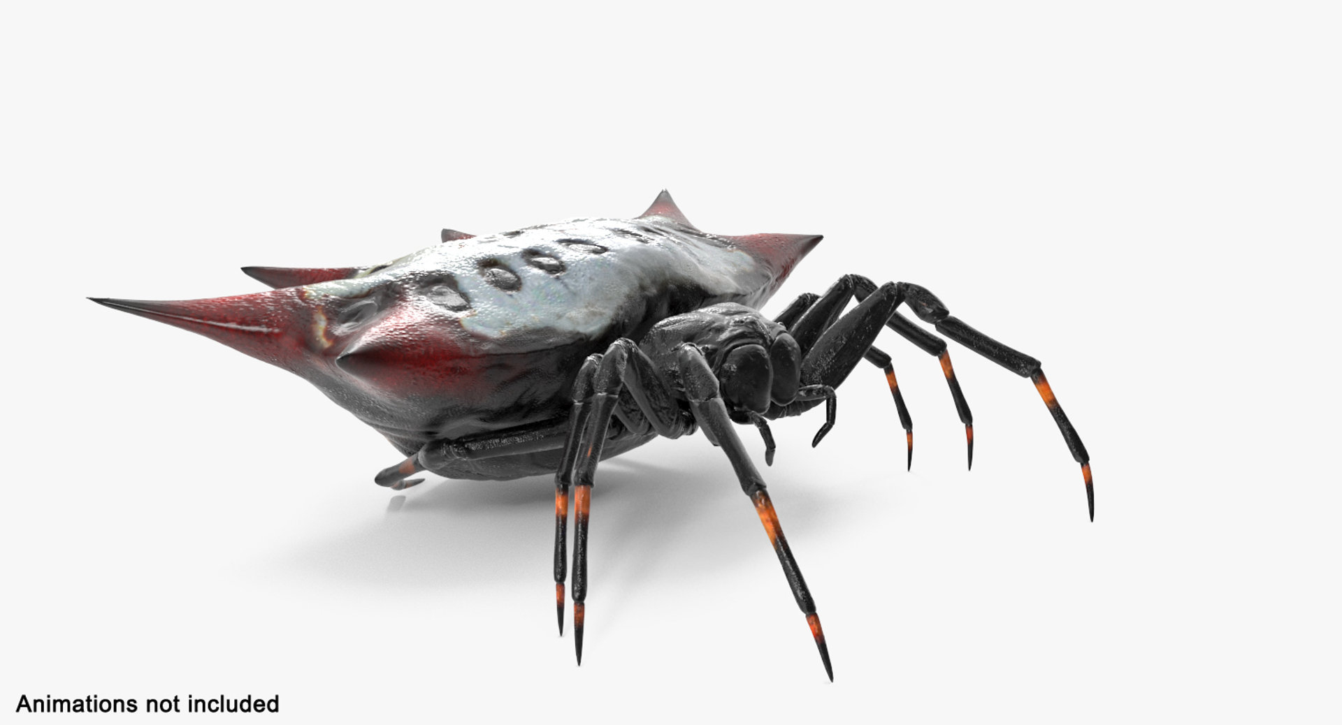 3D Spiny Orb Weaver Spider - TurboSquid 1216227