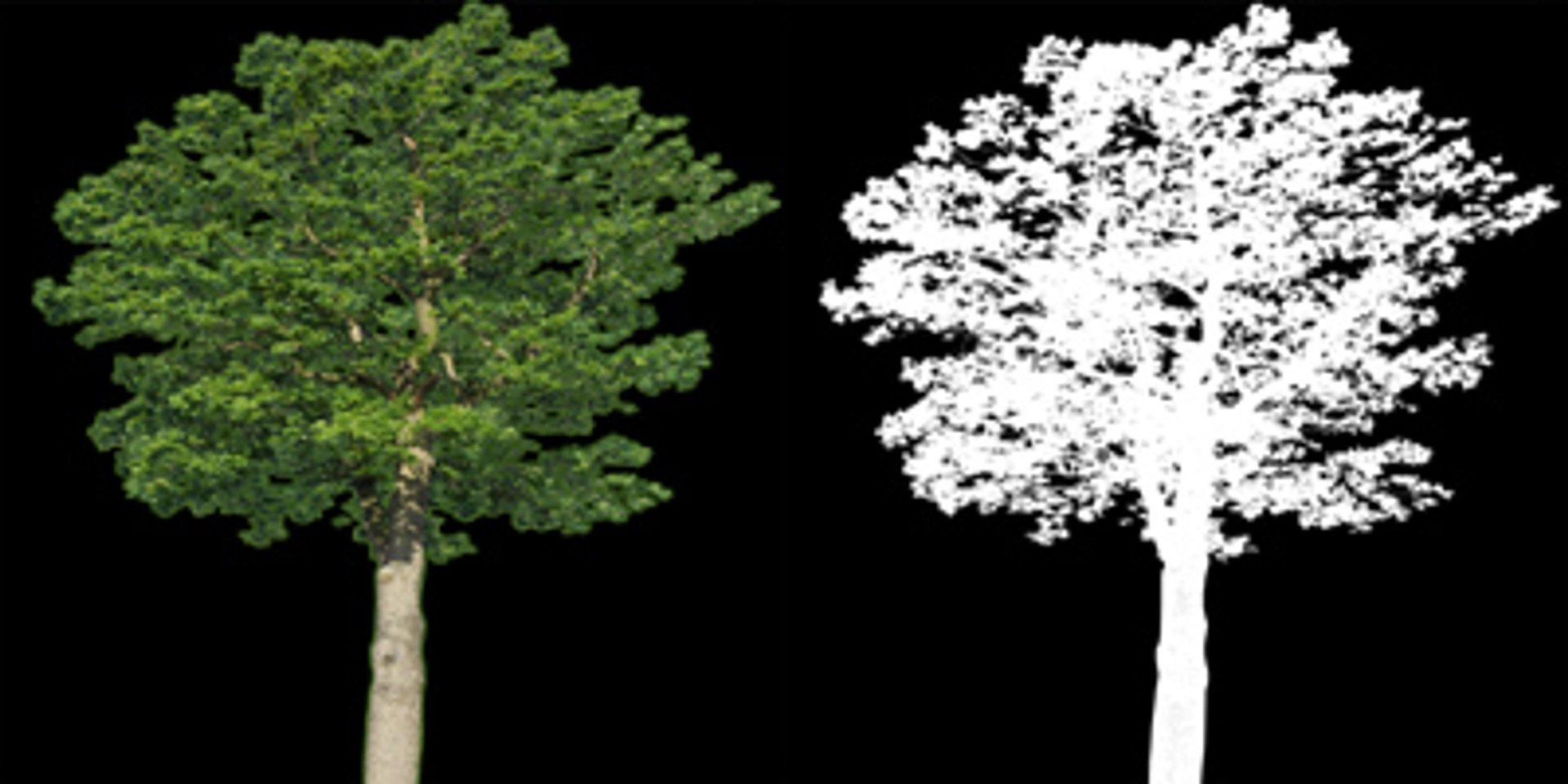 3ds Max Tree J3d