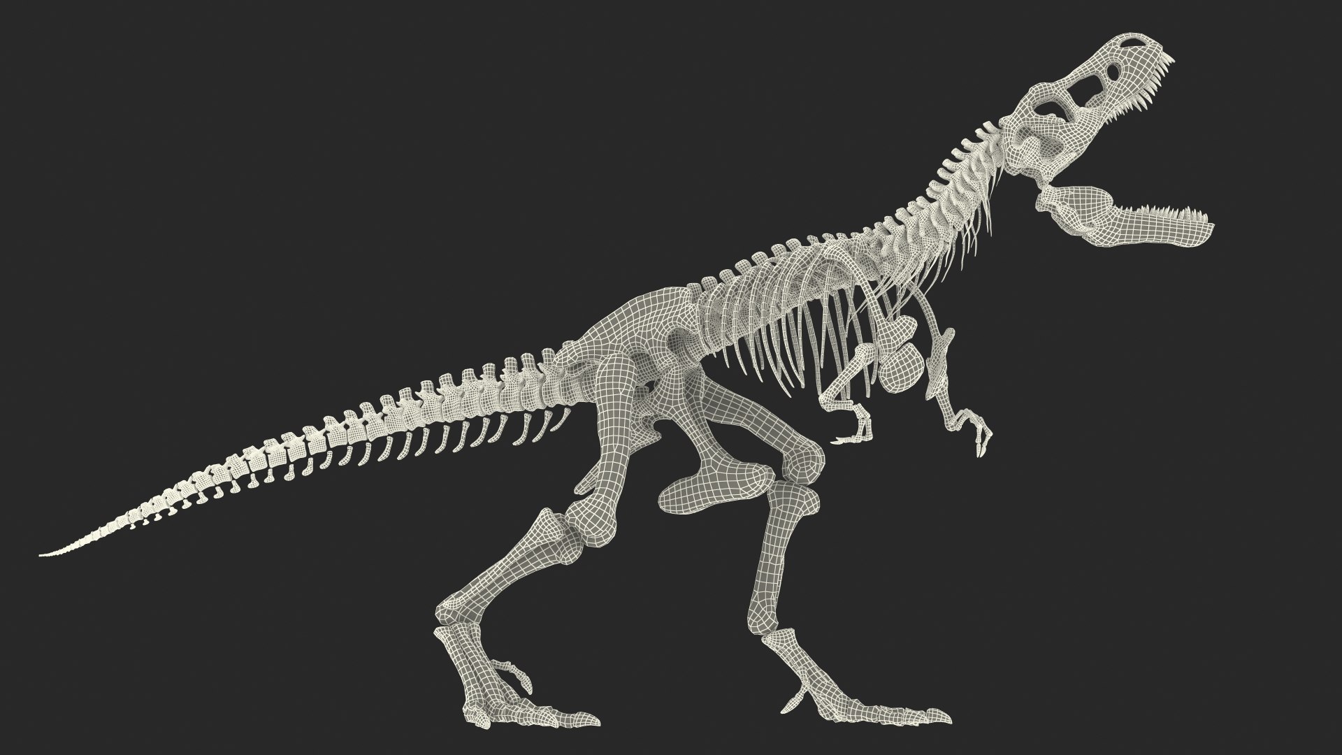 3D model tyrannosaurus rex skeleton standing - TurboSquid 1482326