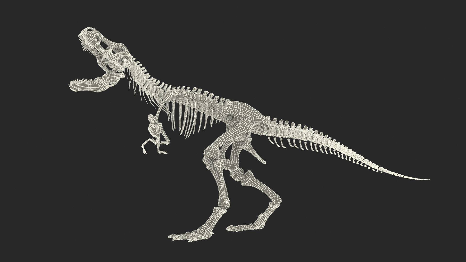 3D model tyrannosaurus rex skeleton standing - TurboSquid 1482326