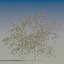 Realistic Tree 3D Model - TurboSquid 1361120