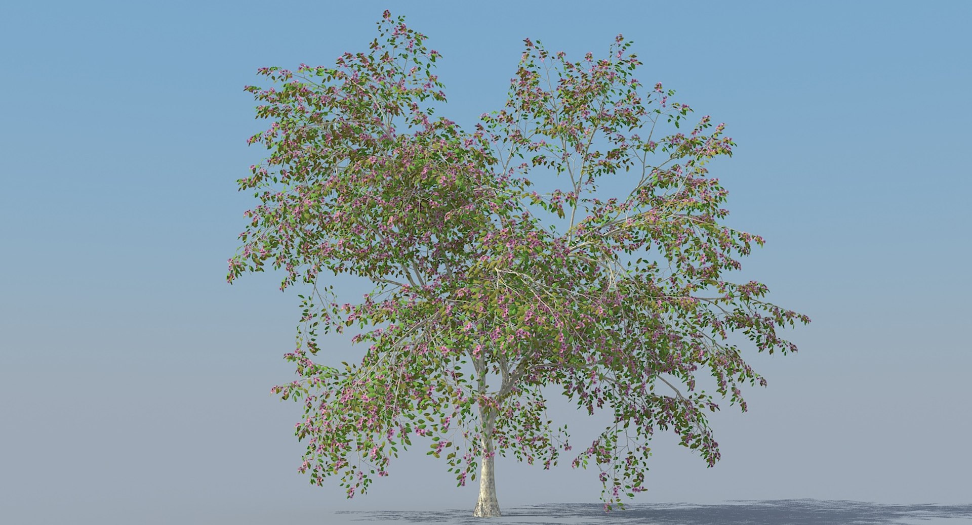 Realistic Tree 3D Model - TurboSquid 1361120