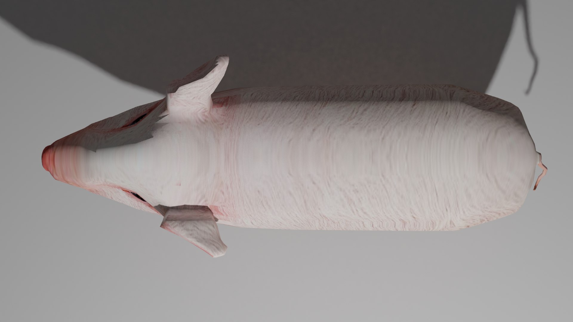 3D Pig OBJ Model - TurboSquid 2109799