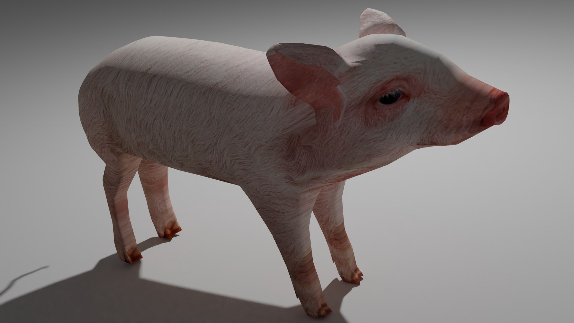 3D Pig OBJ Model - TurboSquid 2109799