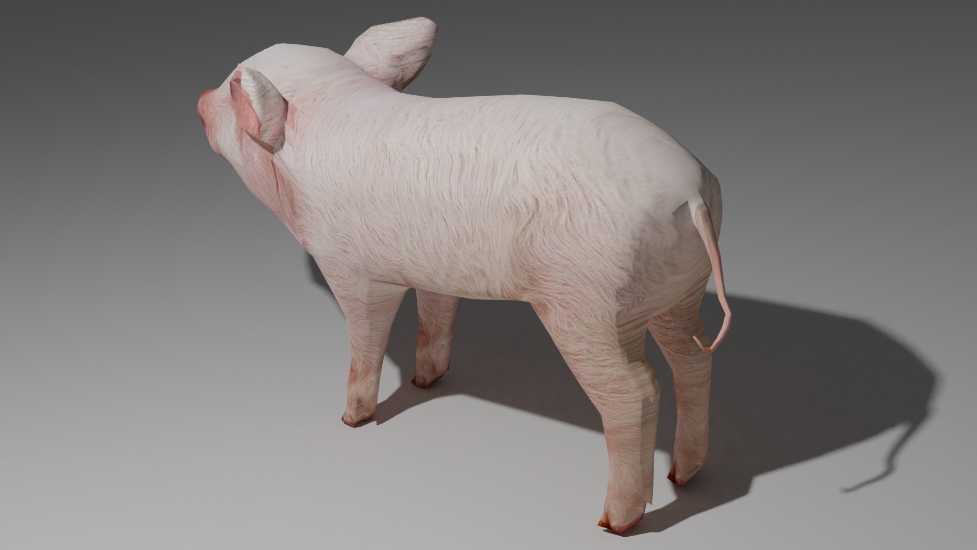 3D Pig OBJ Model - TurboSquid 2109799