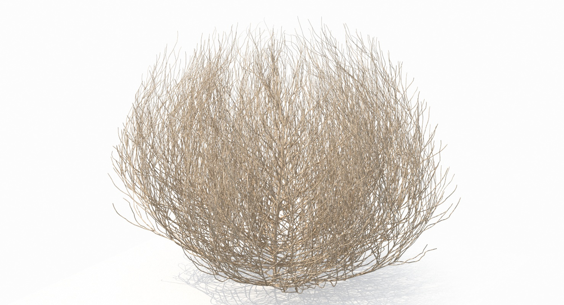 Desert Tumbleweed Tumbled 3D - TurboSquid 1398401
