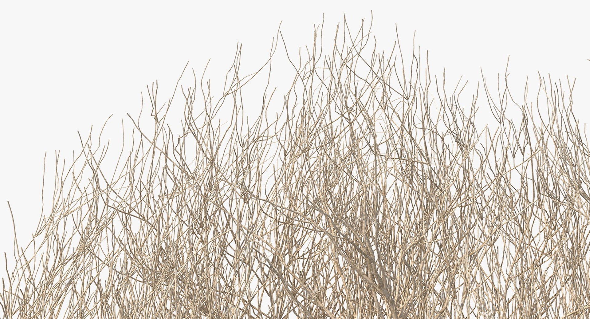 Desert Tumbleweed Tumbled 3D - TurboSquid 1398401