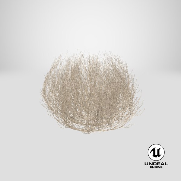 Desert tumbleweed tumbled 3D - TurboSquid 1398401