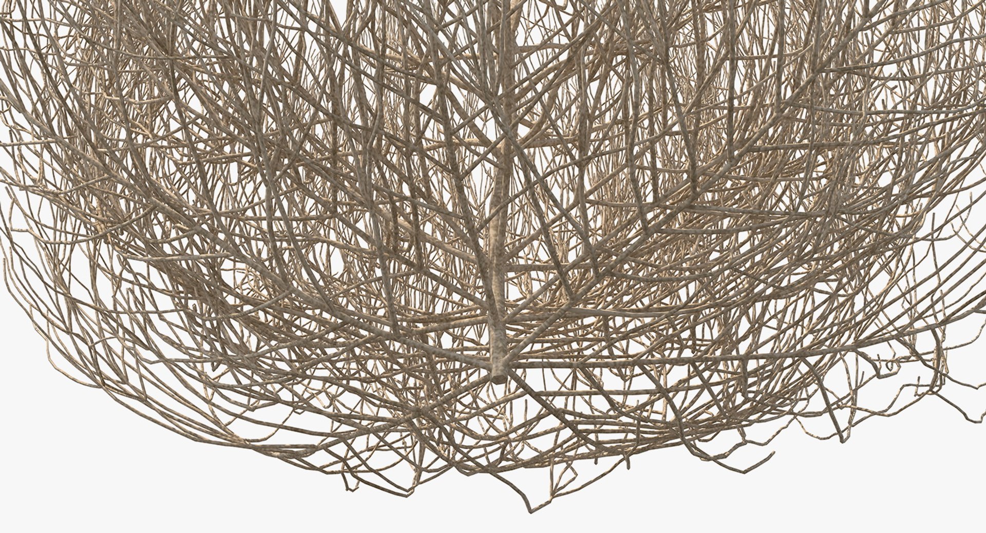 Desert Tumbleweed Tumbled 3D - TurboSquid 1398401