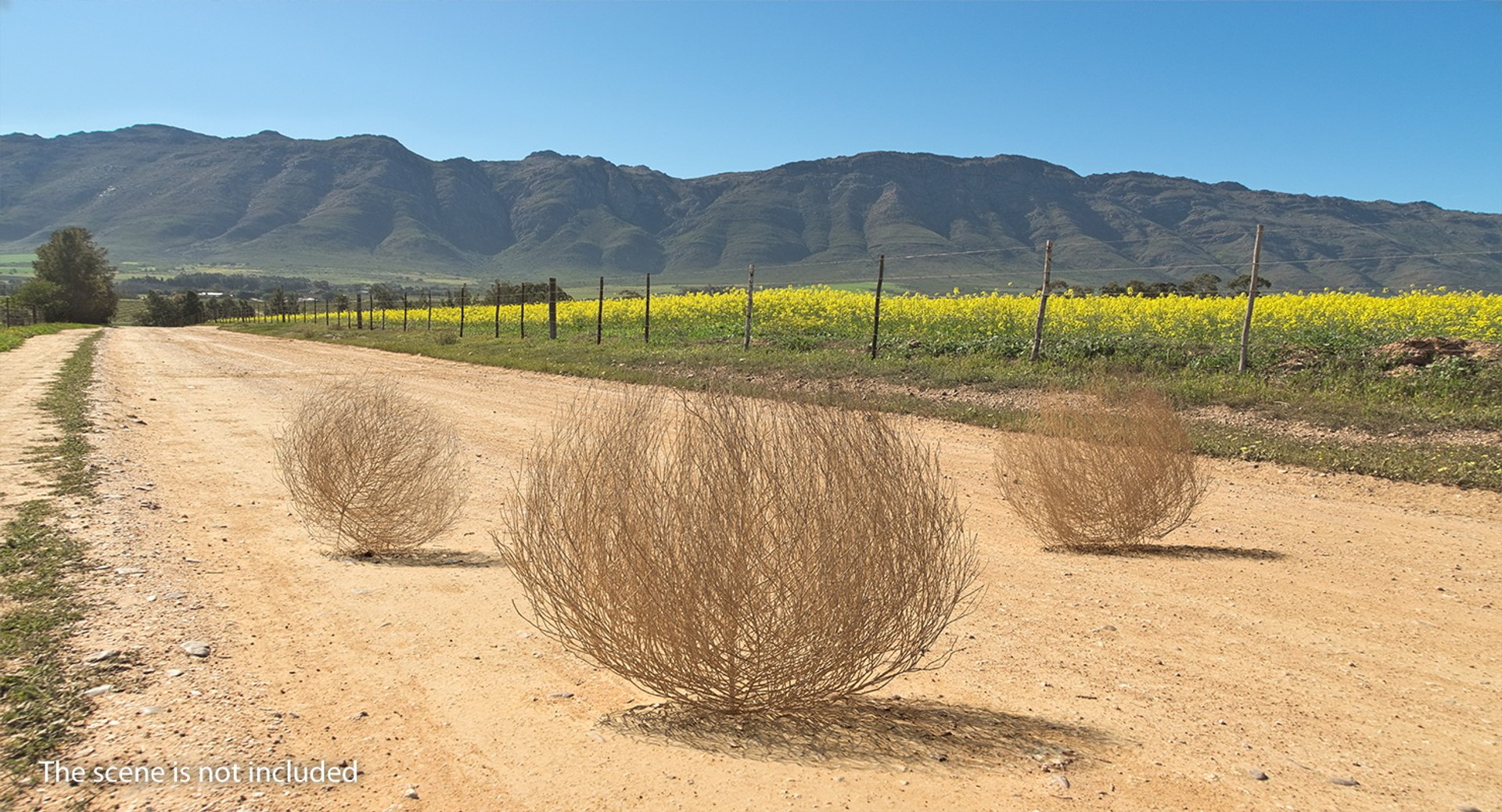 Desert Tumbleweed Tumbled 3D - TurboSquid 1398401