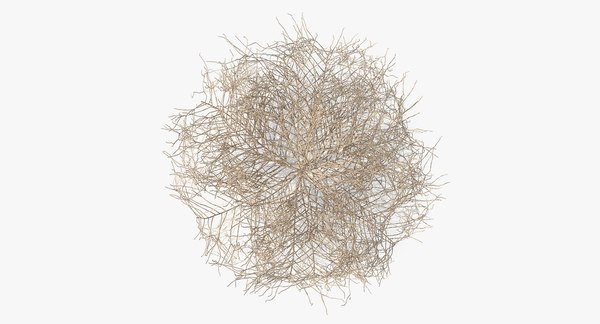 Desert tumbleweed tumbled 3D - TurboSquid 1398401