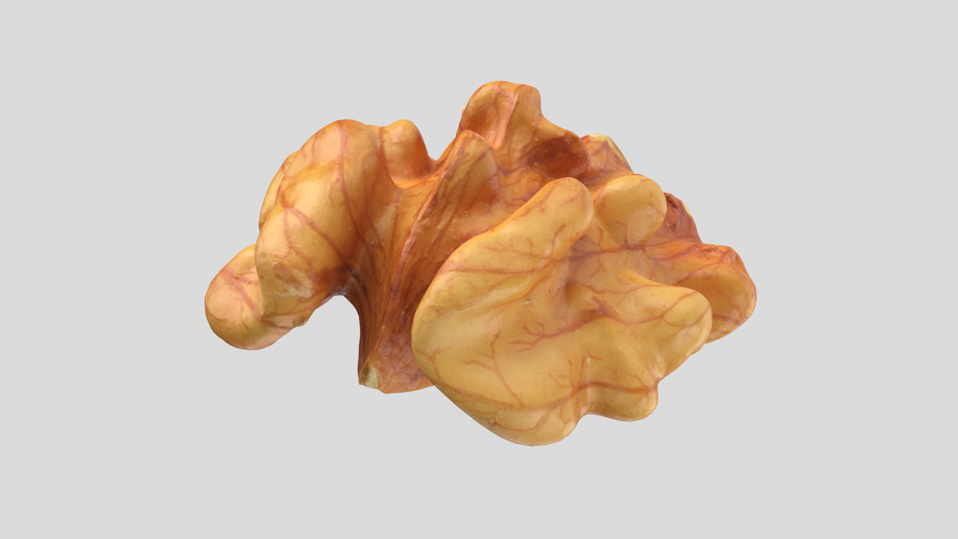 Walnut Half 02 3D Model - TurboSquid 1862363