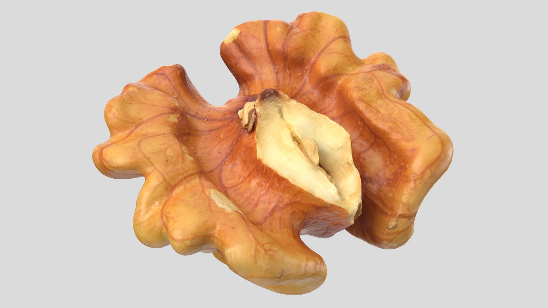 Walnut Half 02 3D Model - TurboSquid 1862363