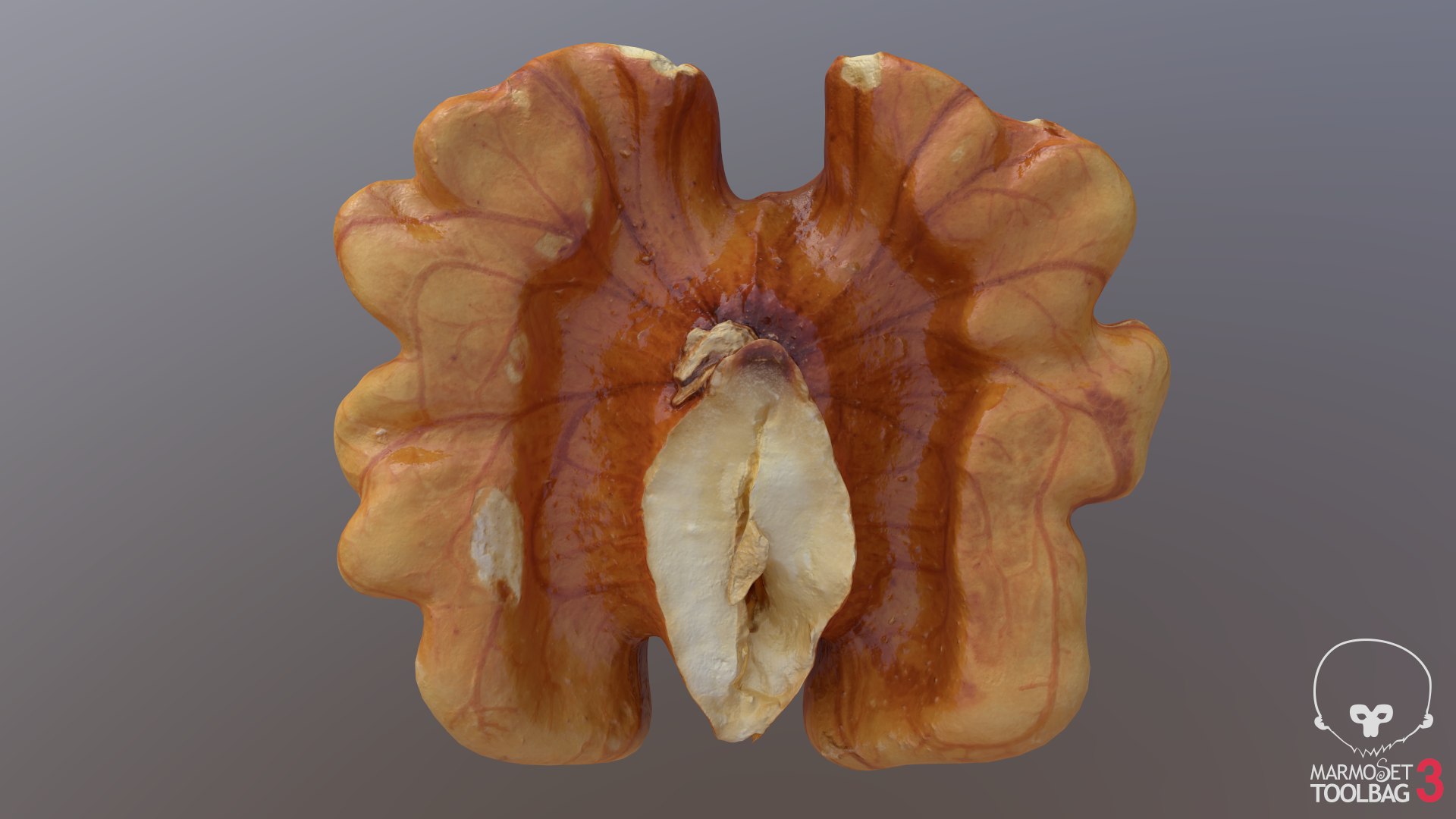 Walnut Half 02 3D Model - TurboSquid 1862363