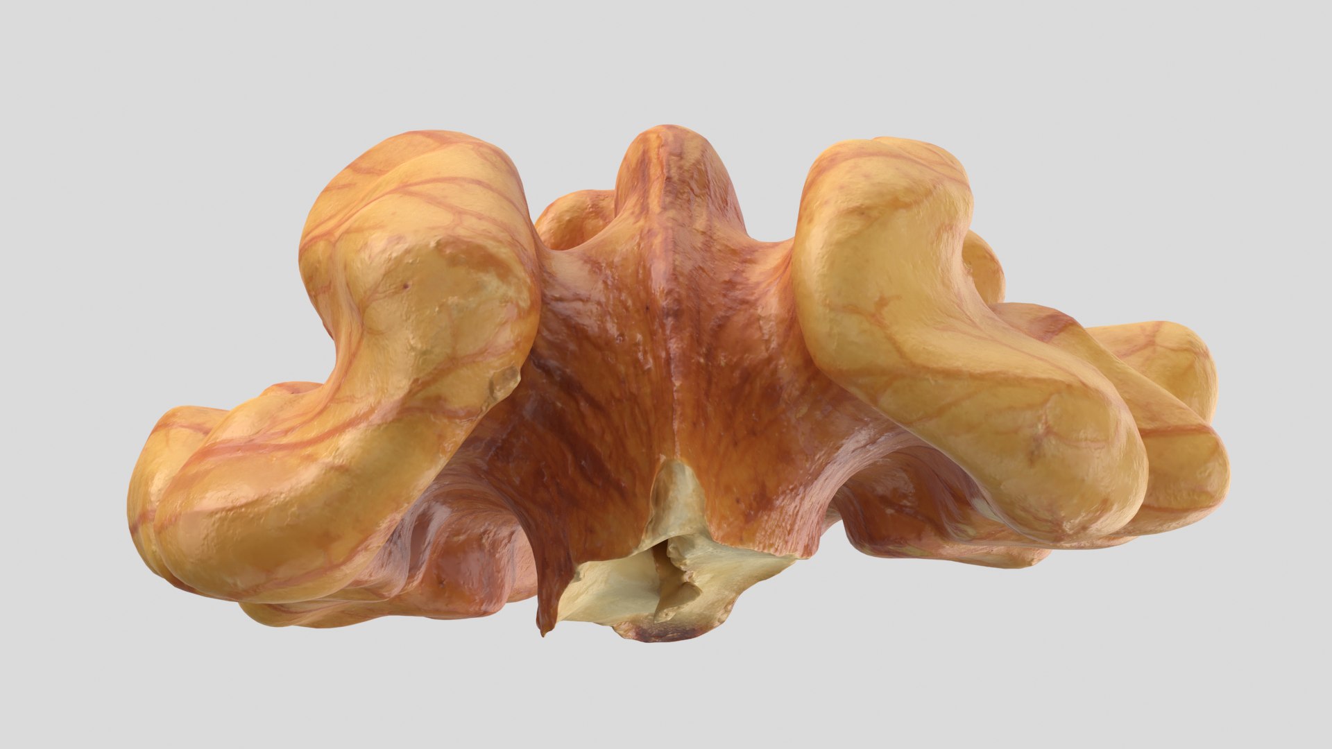 Walnut Half 02 3D Model - TurboSquid 1862363