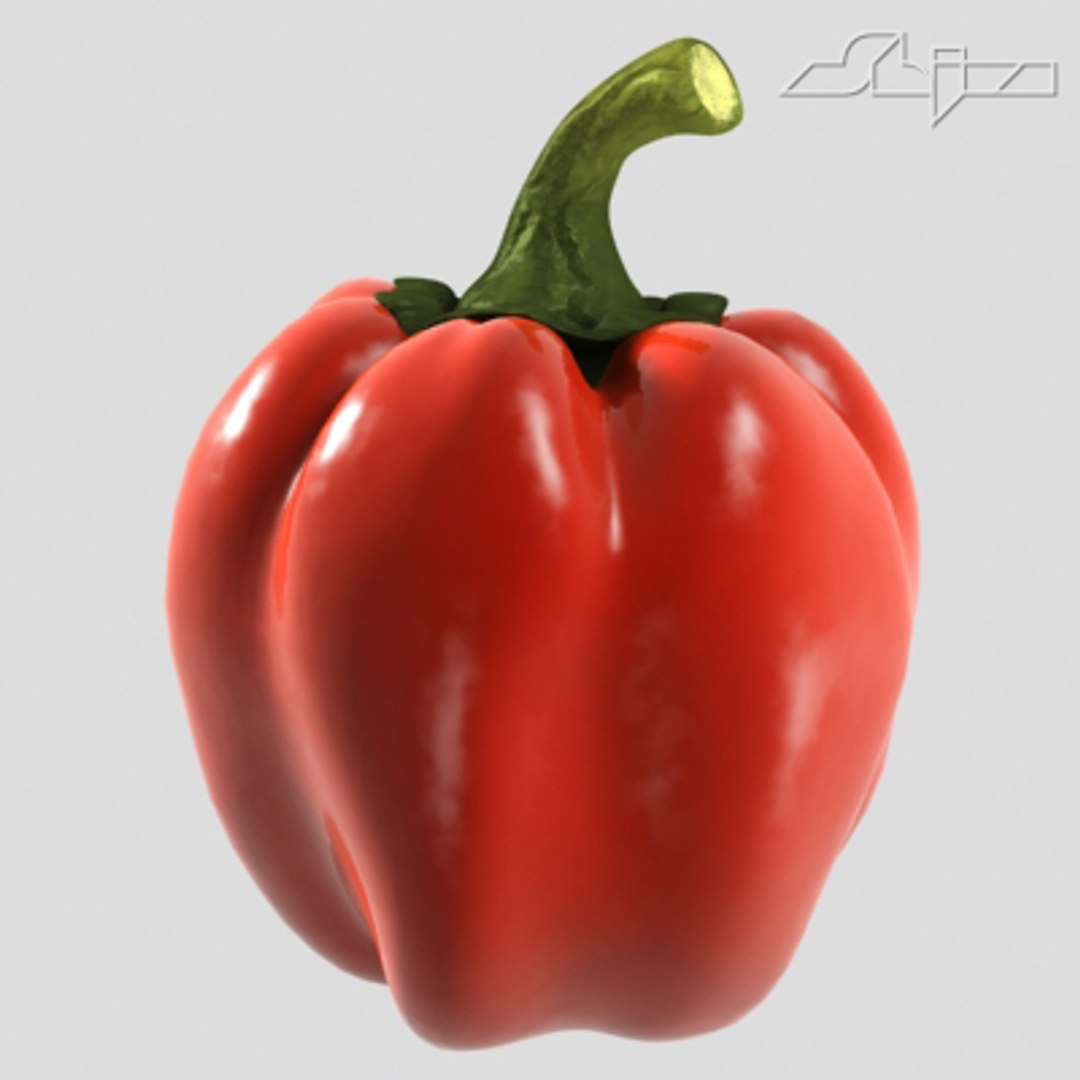 3d Pepper Model
