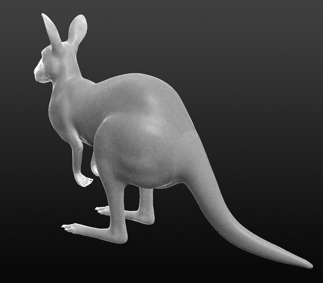 Kangaroo Base Mesh 3D - TurboSquid 1412273