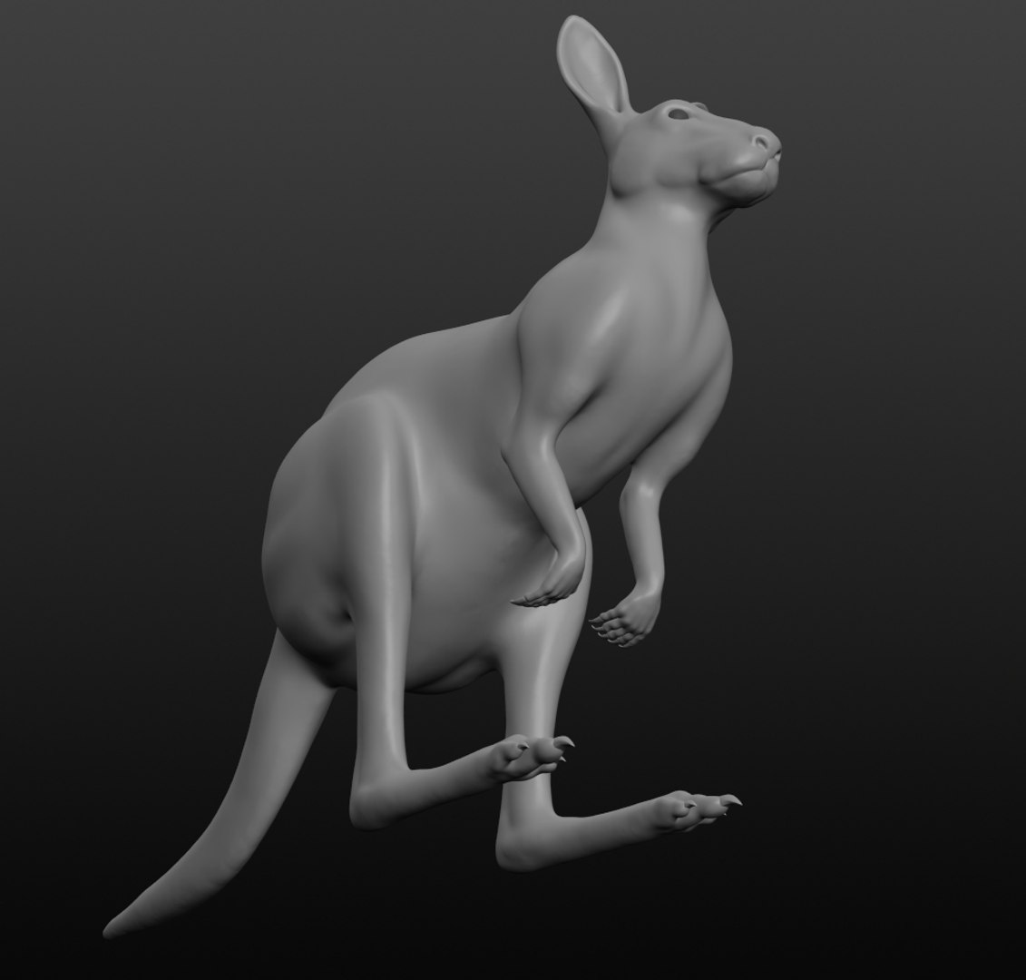 Kangaroo Base Mesh 3D - TurboSquid 1412273