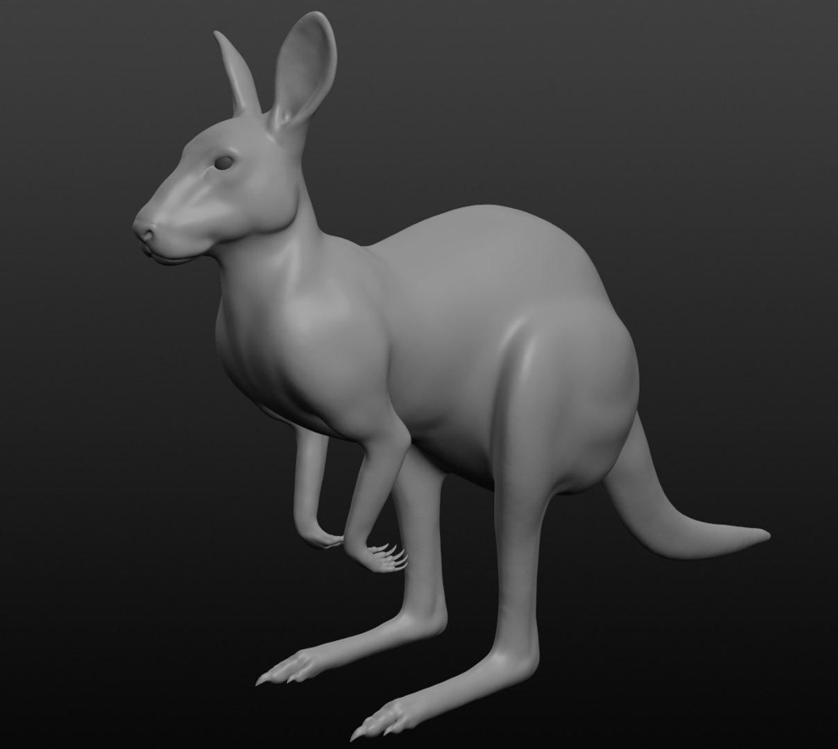 Kangaroo Base Mesh 3D - TurboSquid 1412273