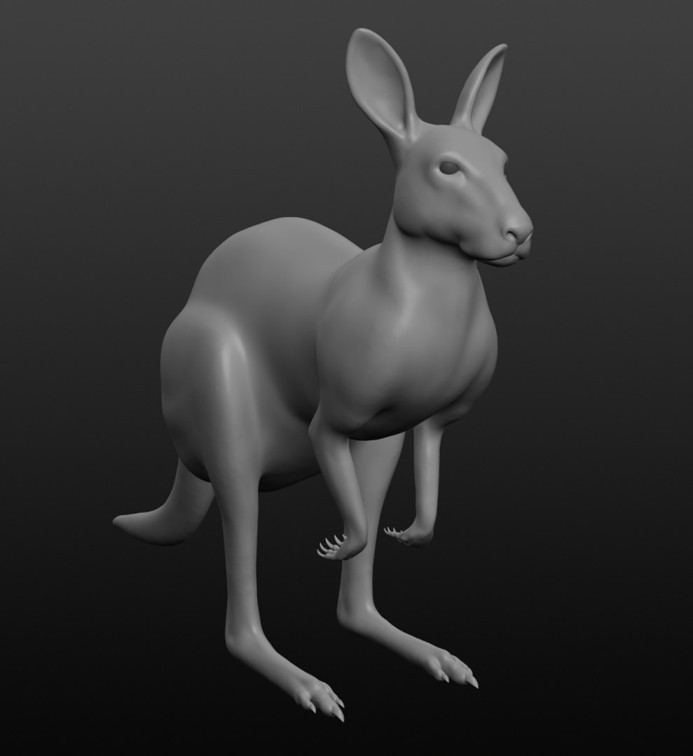 Kangaroo Base Mesh 3D - TurboSquid 1412273
