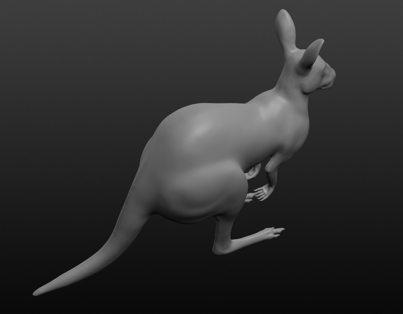 Kangaroo Base Mesh 3D - TurboSquid 1412273