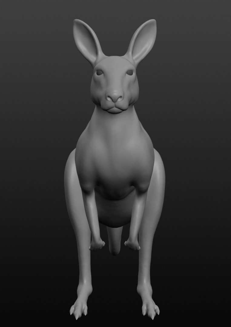 Kangaroo Base Mesh 3D - TurboSquid 1412273