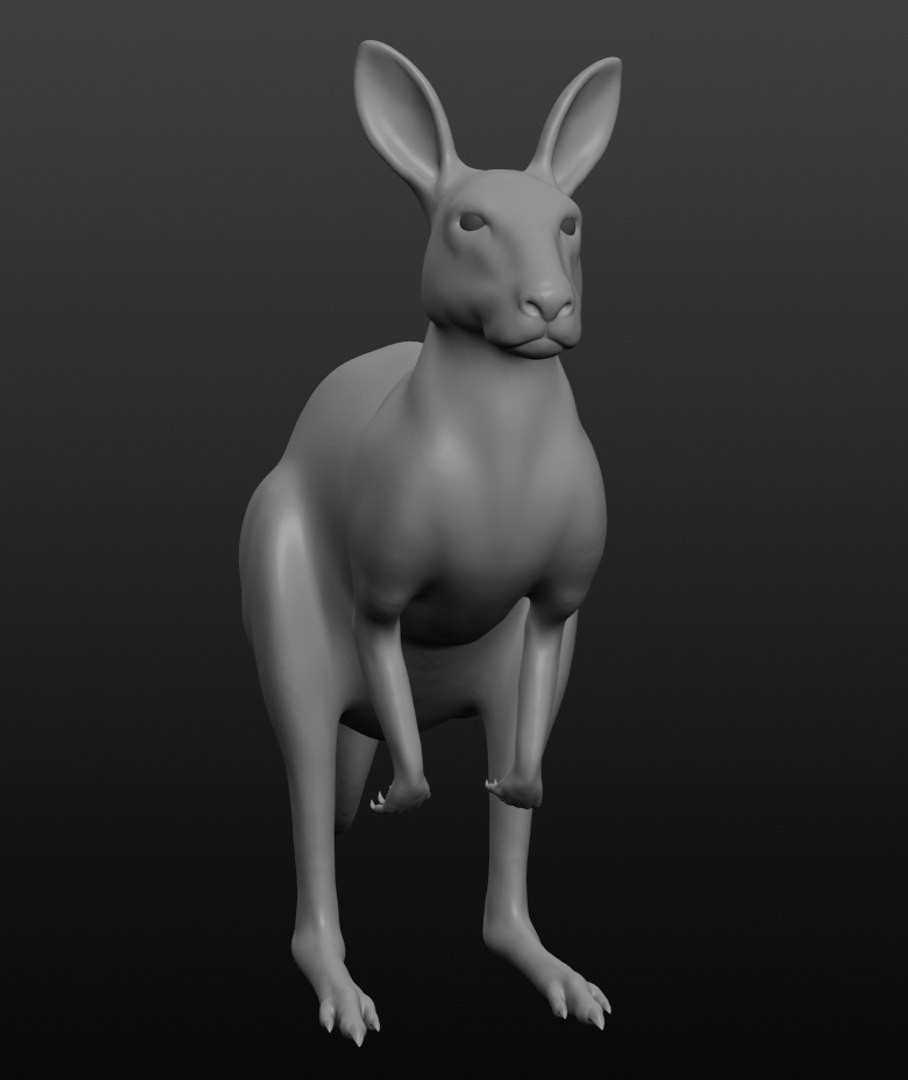 Kangaroo Base Mesh 3D - TurboSquid 1412273