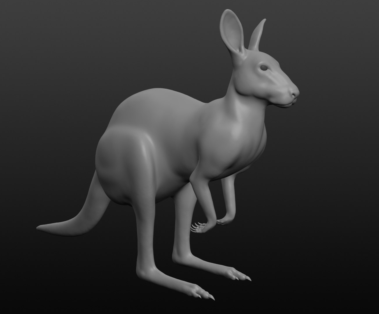Kangaroo Base Mesh 3D - TurboSquid 1412273