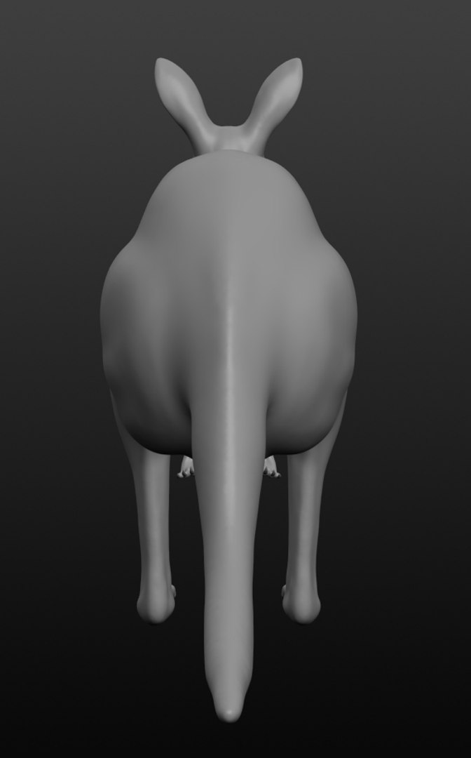 Kangaroo Base Mesh 3D - TurboSquid 1412273
