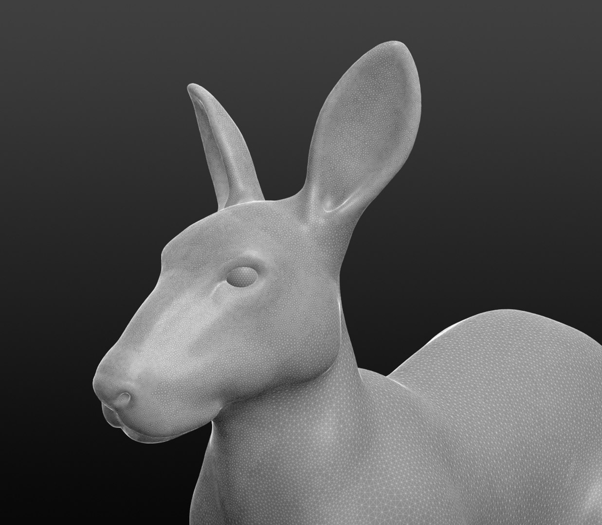 Kangaroo Base Mesh 3D - TurboSquid 1412273