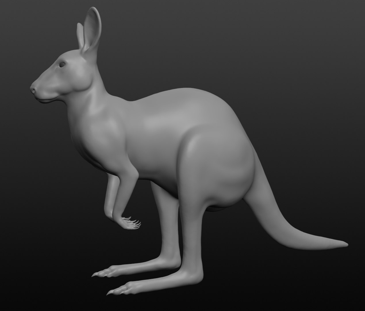 Kangaroo Base Mesh 3D - TurboSquid 1412273