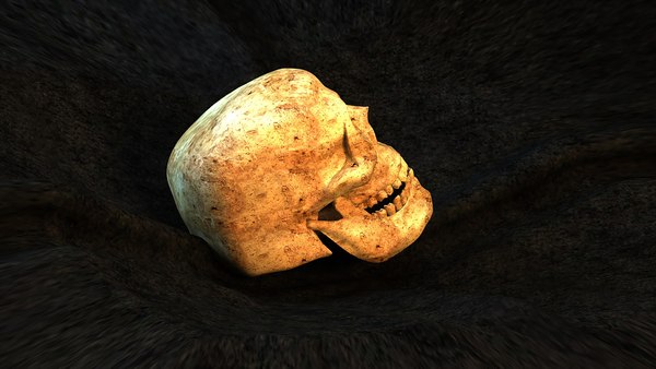 human Skull textured render sculpted anatomy teeth jaw 3D 모델 ...