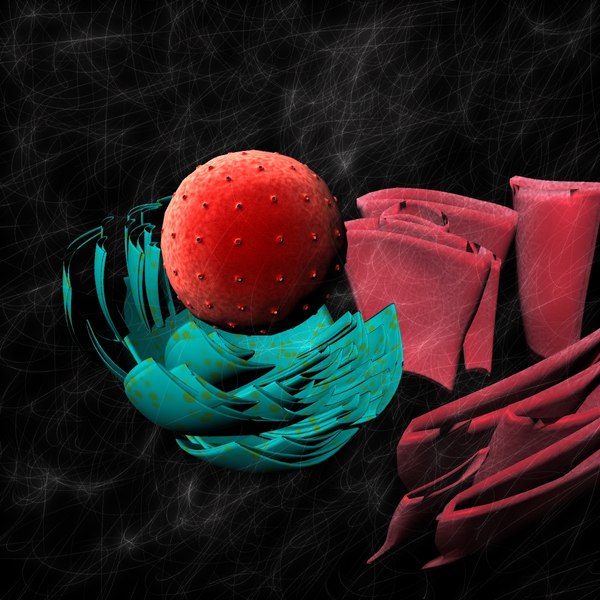 3D Nucleus Models | TurboSquid