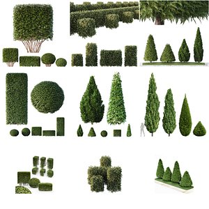Topiary 3D Models for Download | TurboSquid