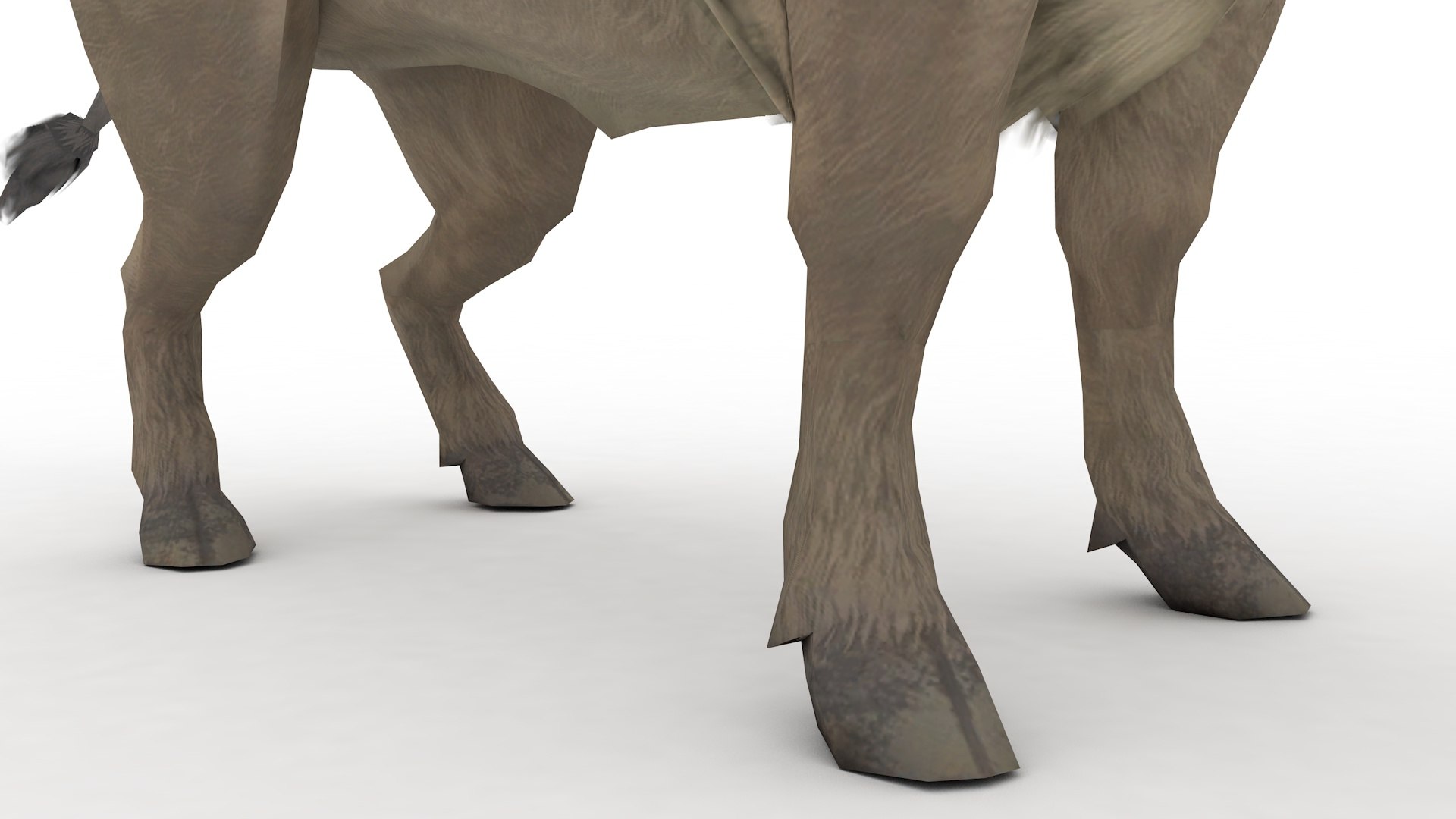 Buffalo 3D Model - TurboSquid 2374033