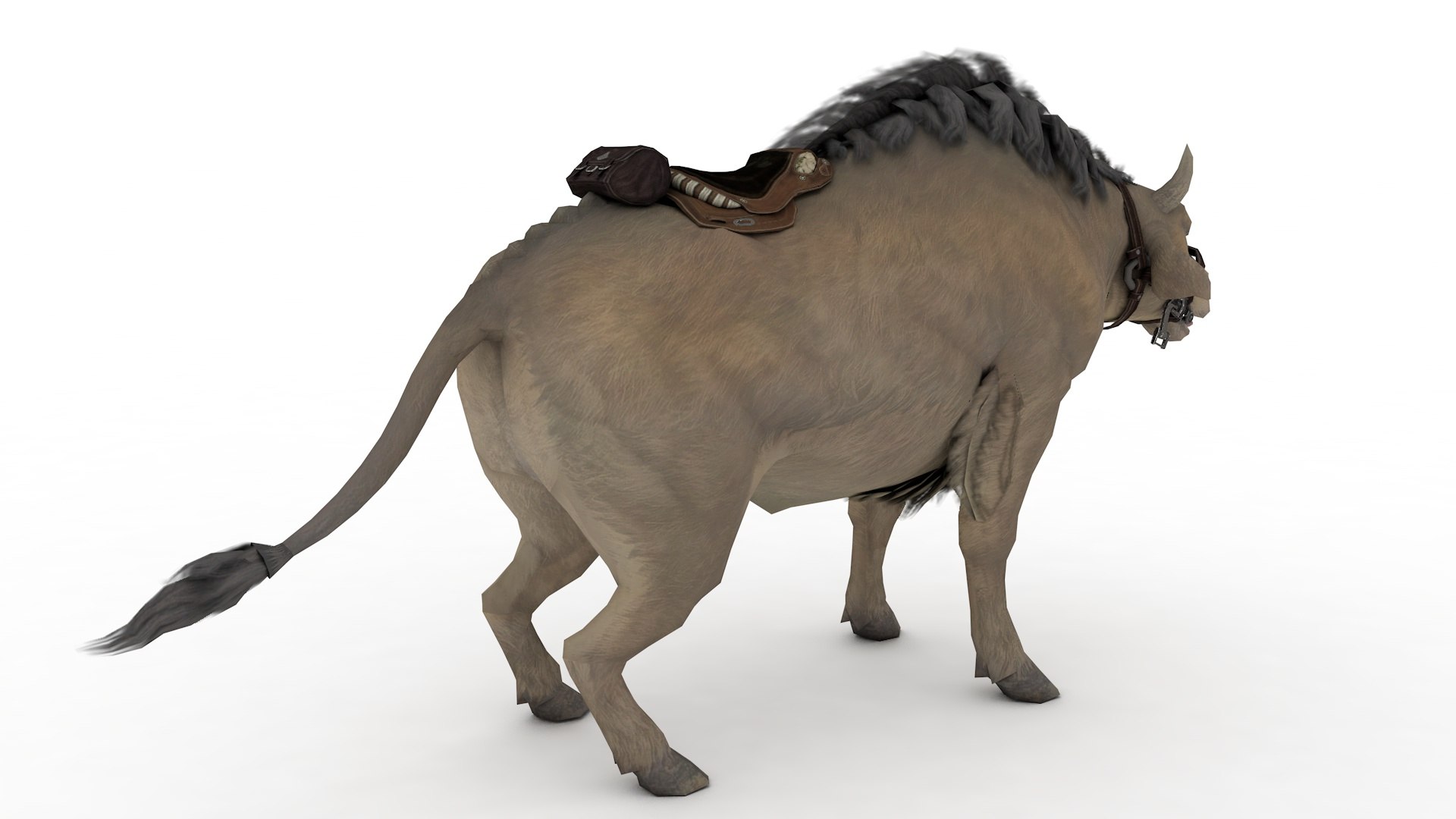 Buffalo 3D Model - TurboSquid 2374033