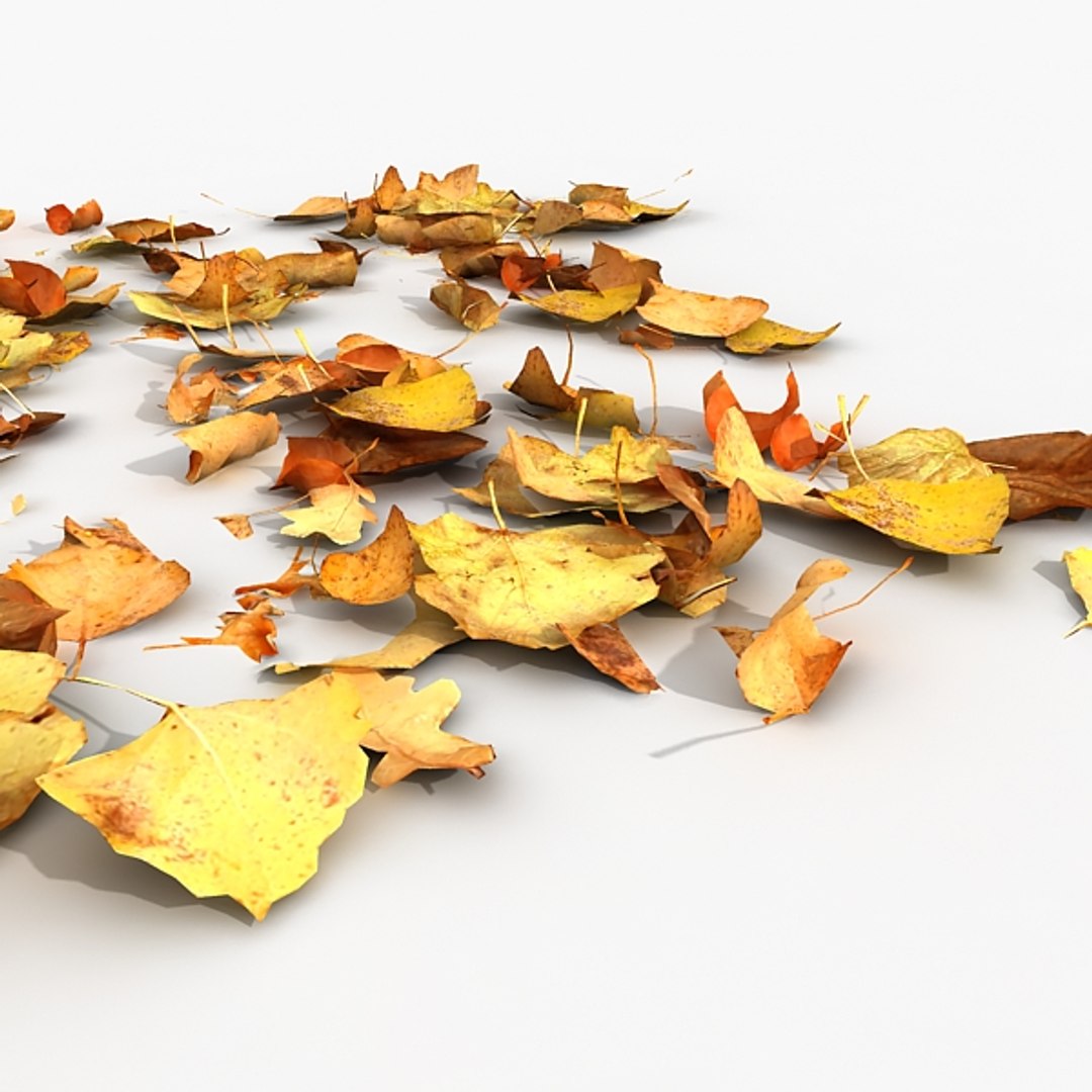 3d Dry Leaves Model