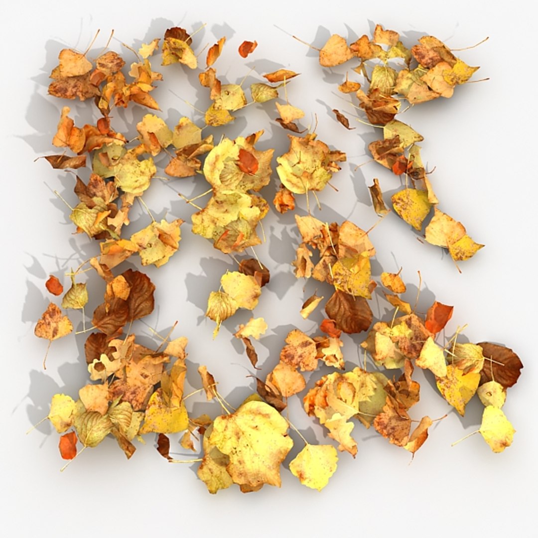 3d Dry Leaves Model