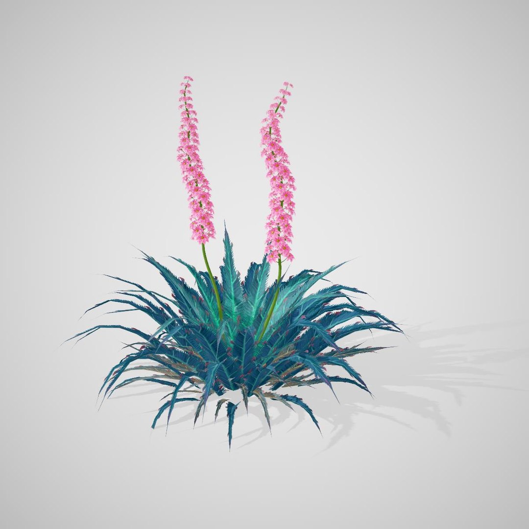 Fantasy Plant Model - TurboSquid 2097964