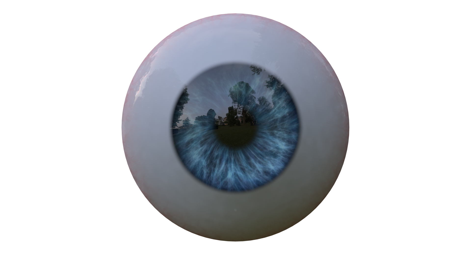 realistic human eye 3d model