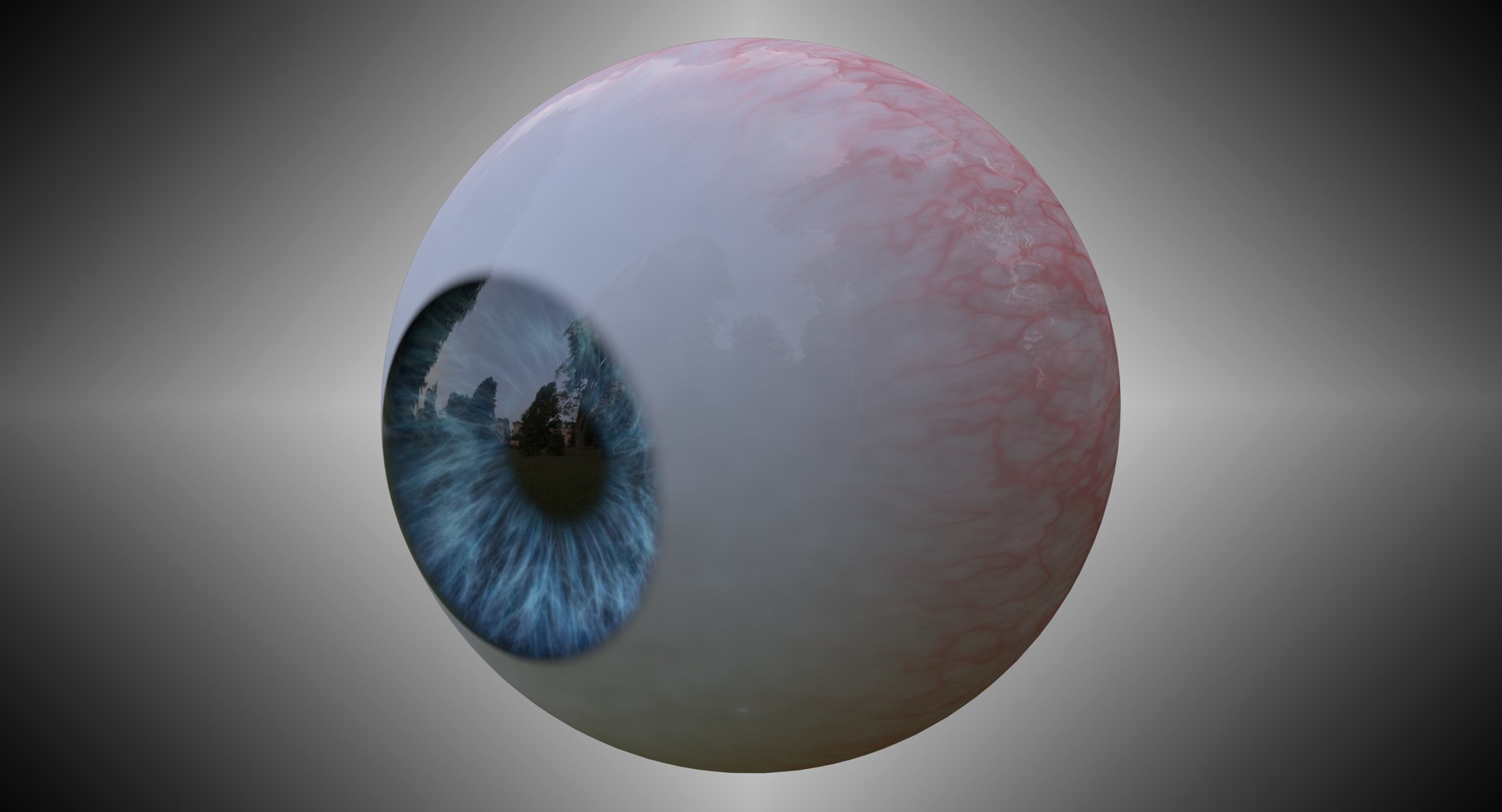 realistic human eye 3d model