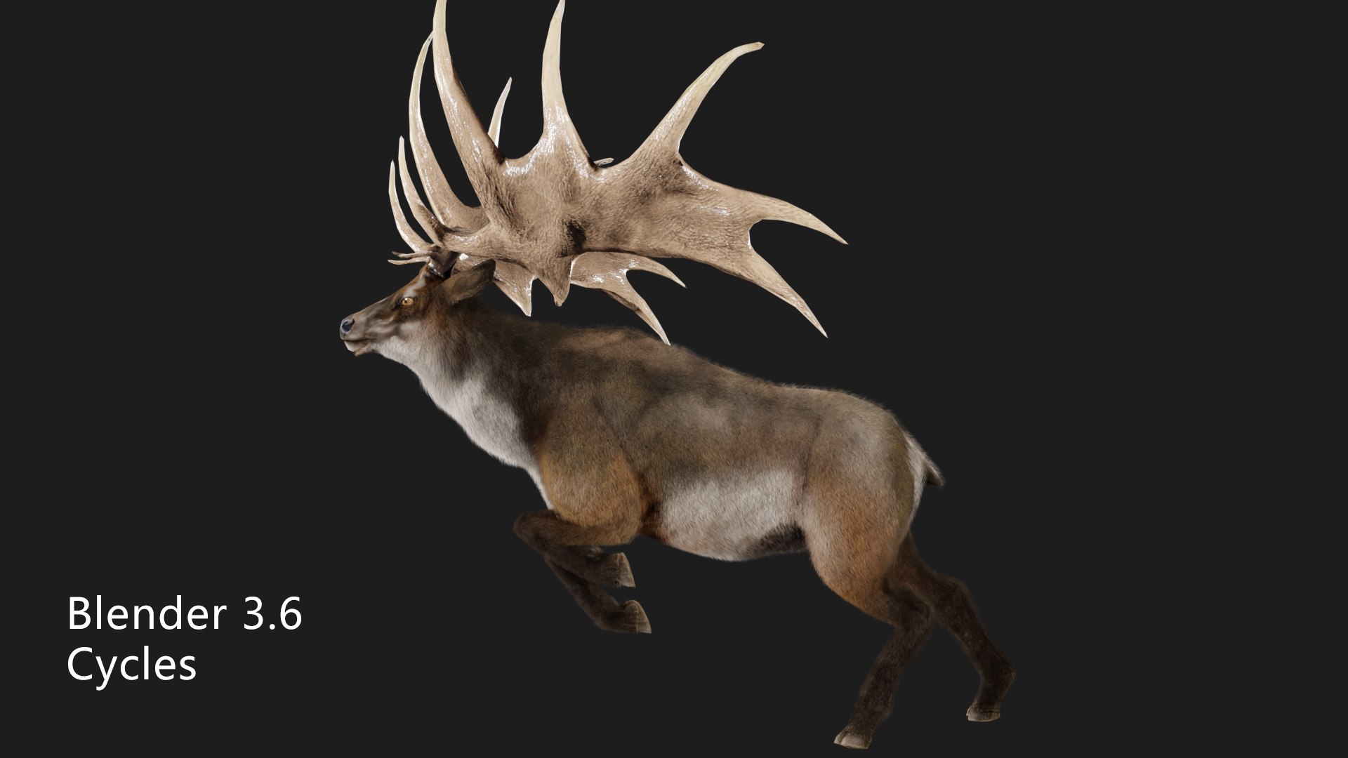 Megaloceros elk deer model - TurboSquid 2180827