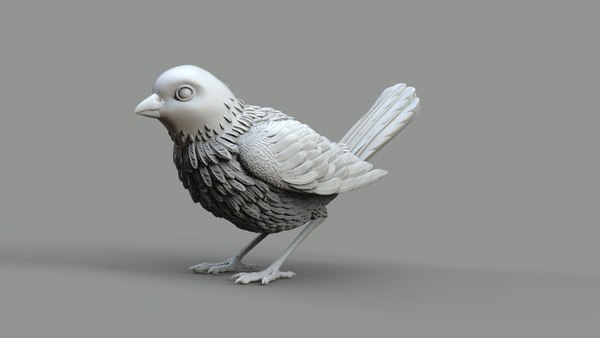 modelo 3d pájaro - TurboSquid 2125042