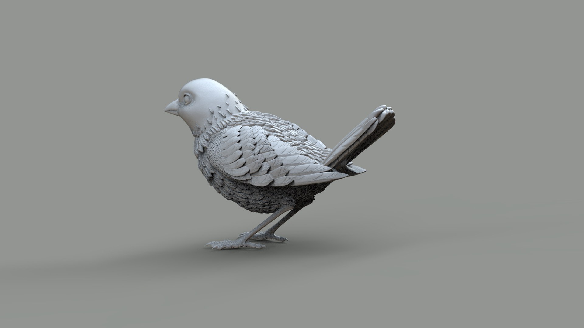 Bird Model - TurboSquid 2125042