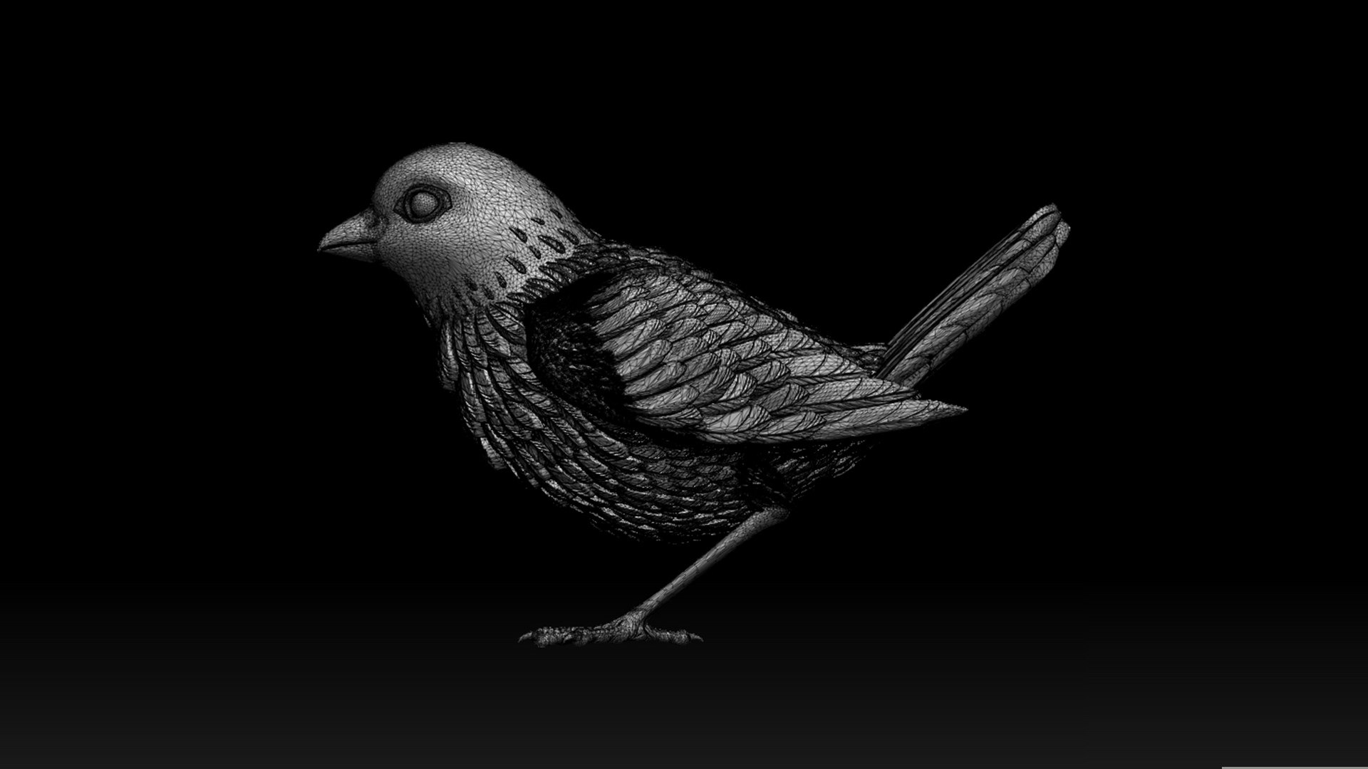 Bird Model - TurboSquid 2125042