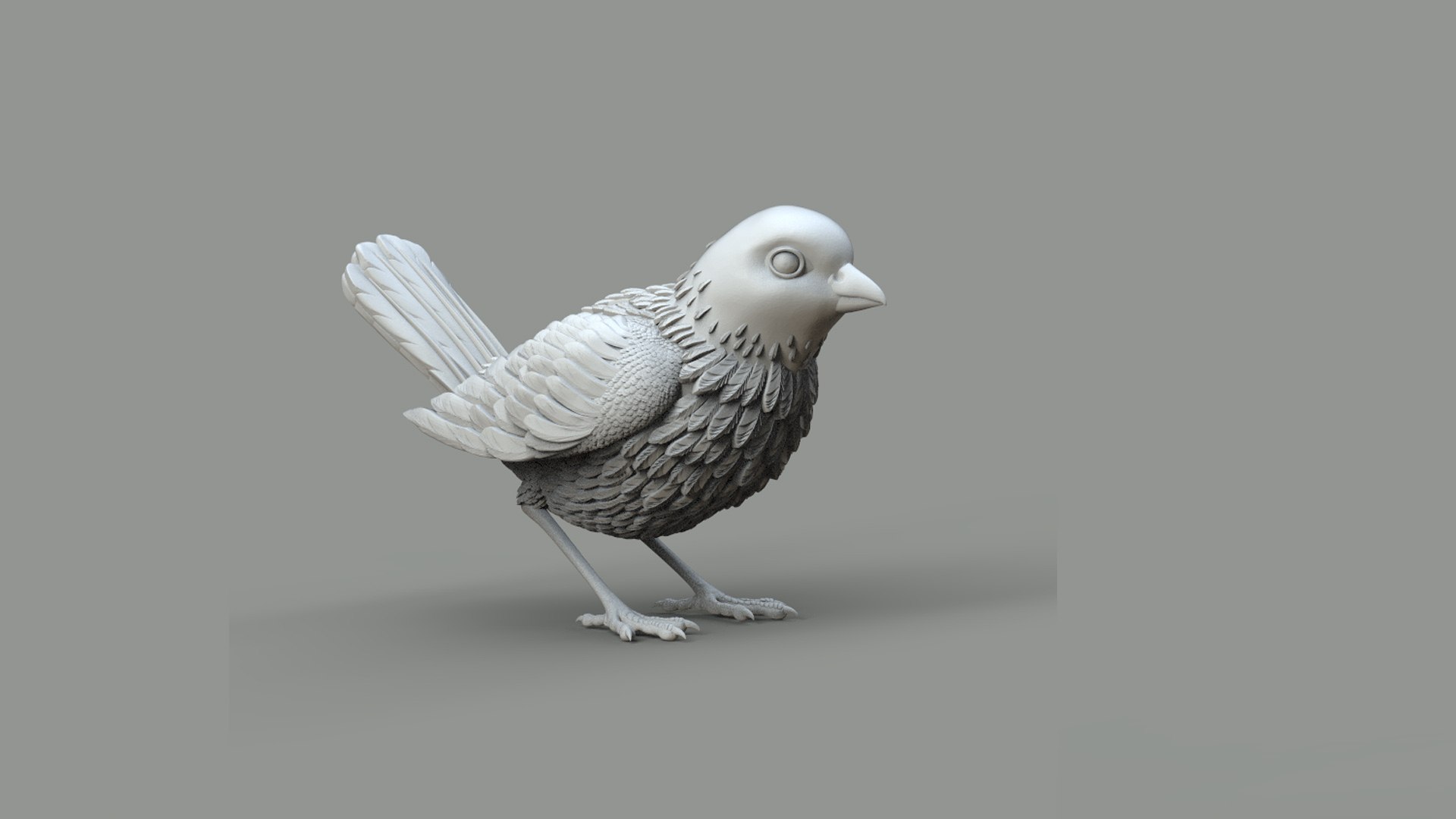 Bird Model - TurboSquid 2125042