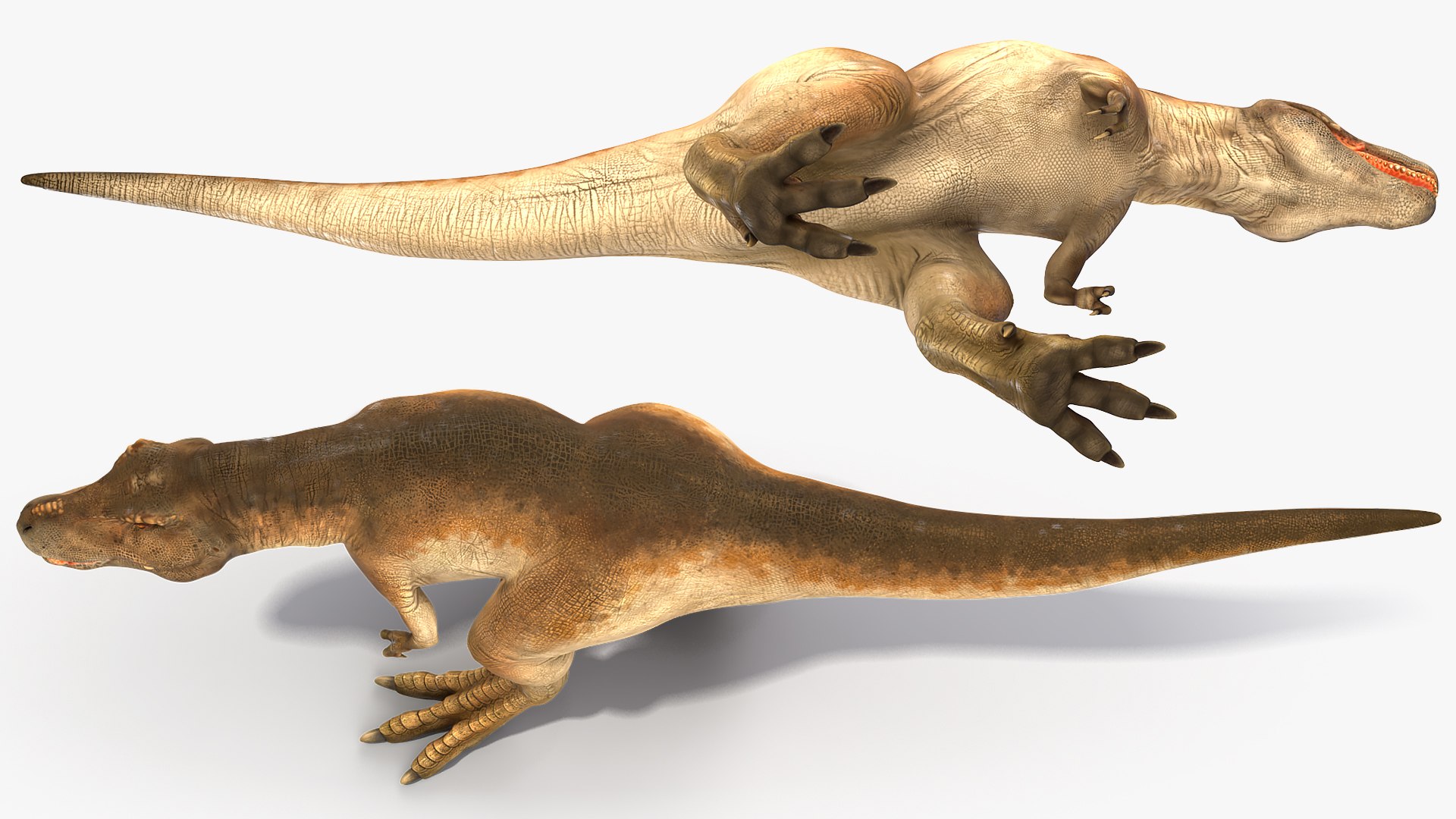 3D Tyrannosaurus Rex Walking Animal - TurboSquid 1478308