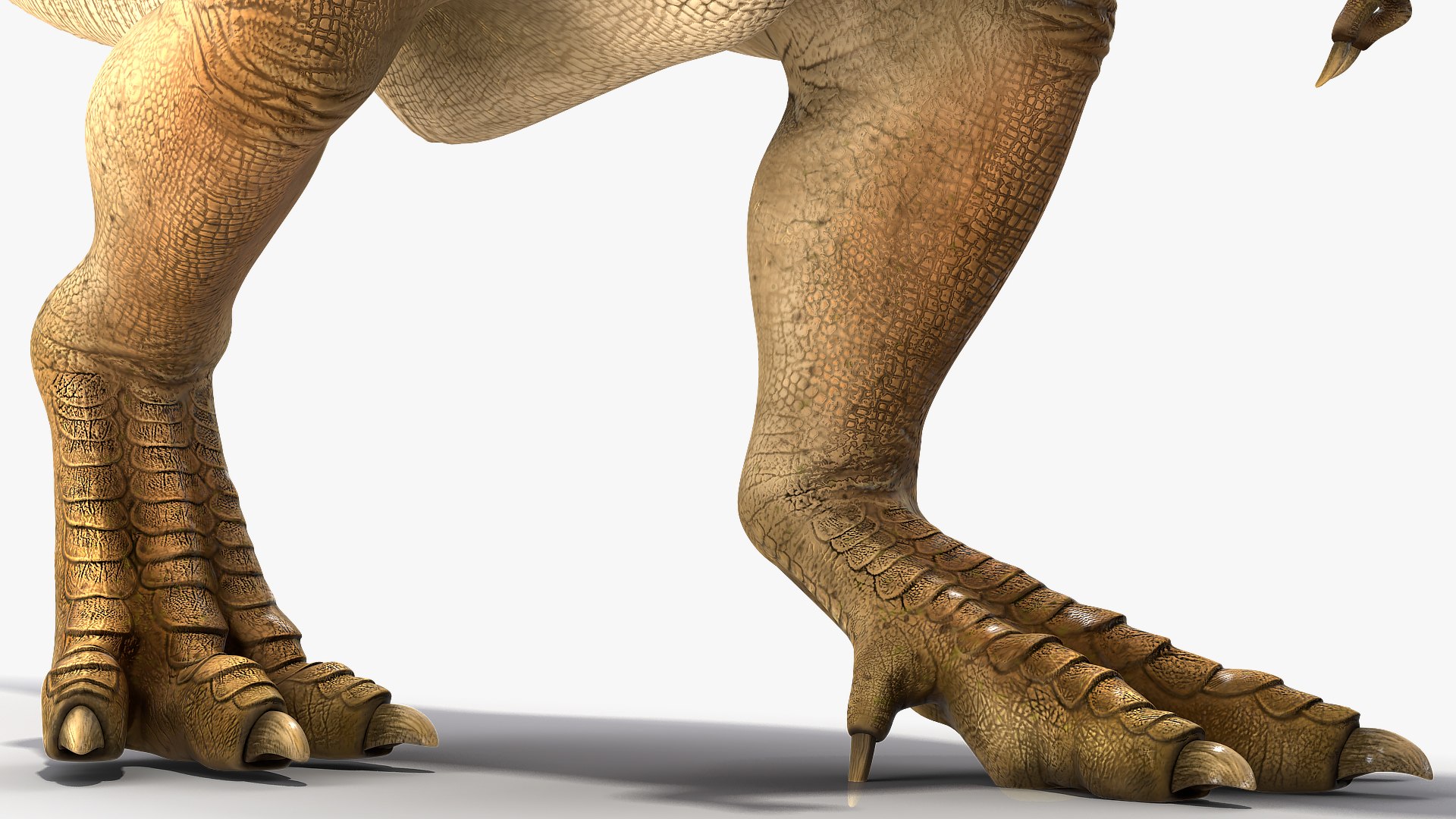 3D Tyrannosaurus Rex Walking Animal - TurboSquid 1478308